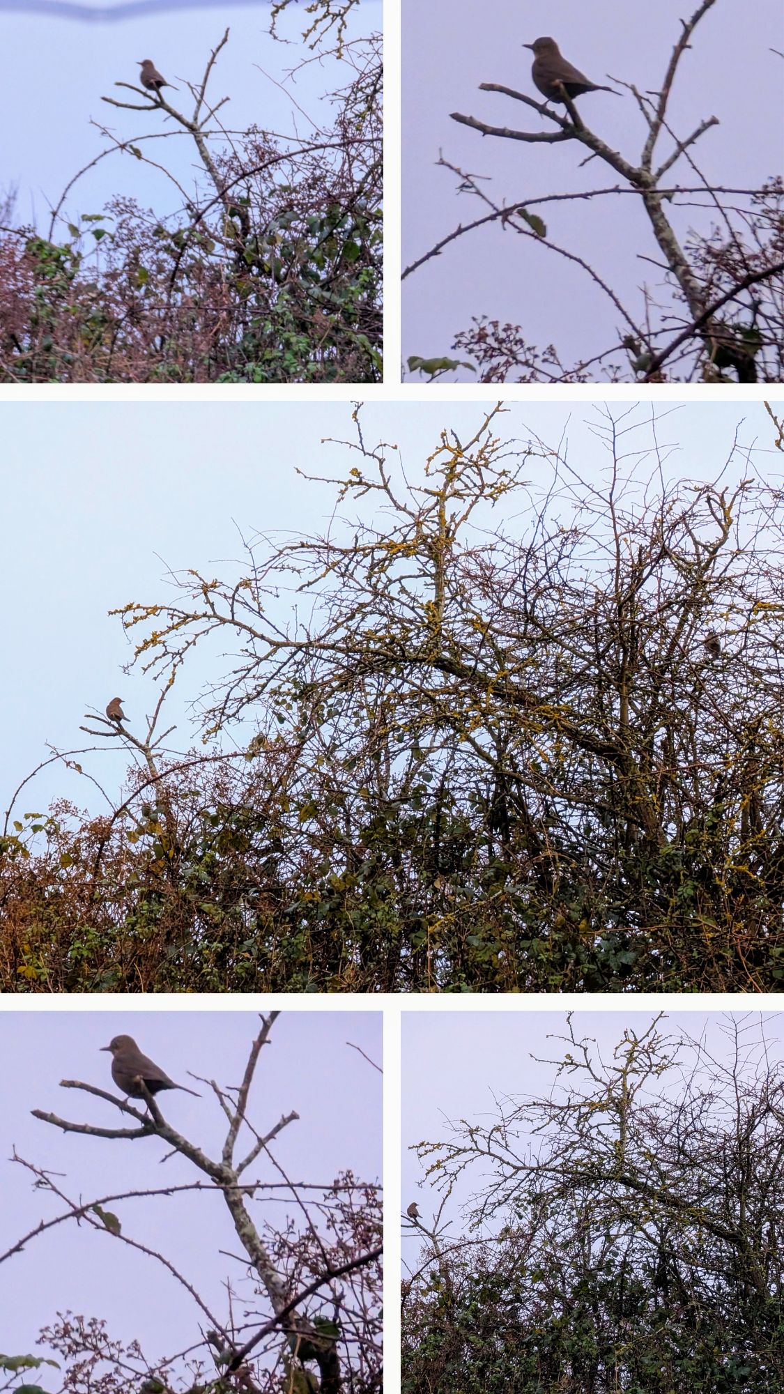 Wild Walk Tuesday 28th October 2025 | johnandmargaret1607